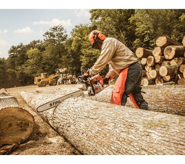 STIHL MS 661 C-M MAGNUM® - Smith Ag Solutions